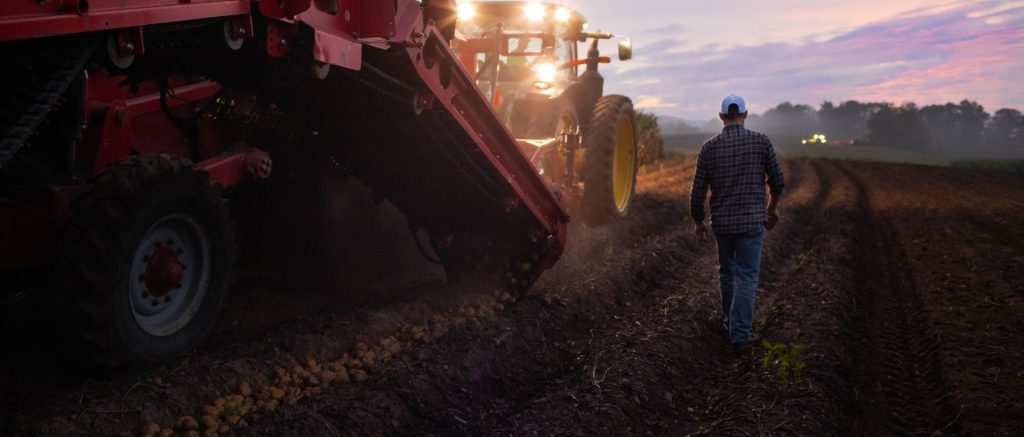 Fresh, Sustainable Potatoes for Your Family | Sterman Masser