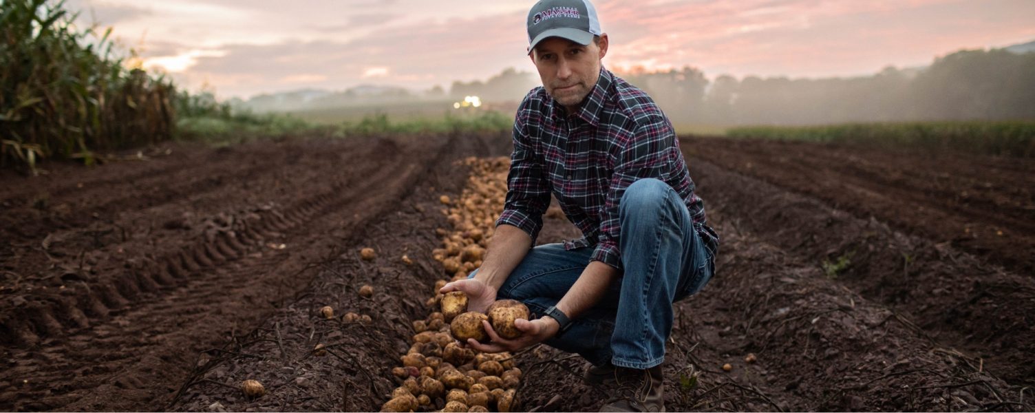 Sterman Masser Potato Farms | Quality Potato Products